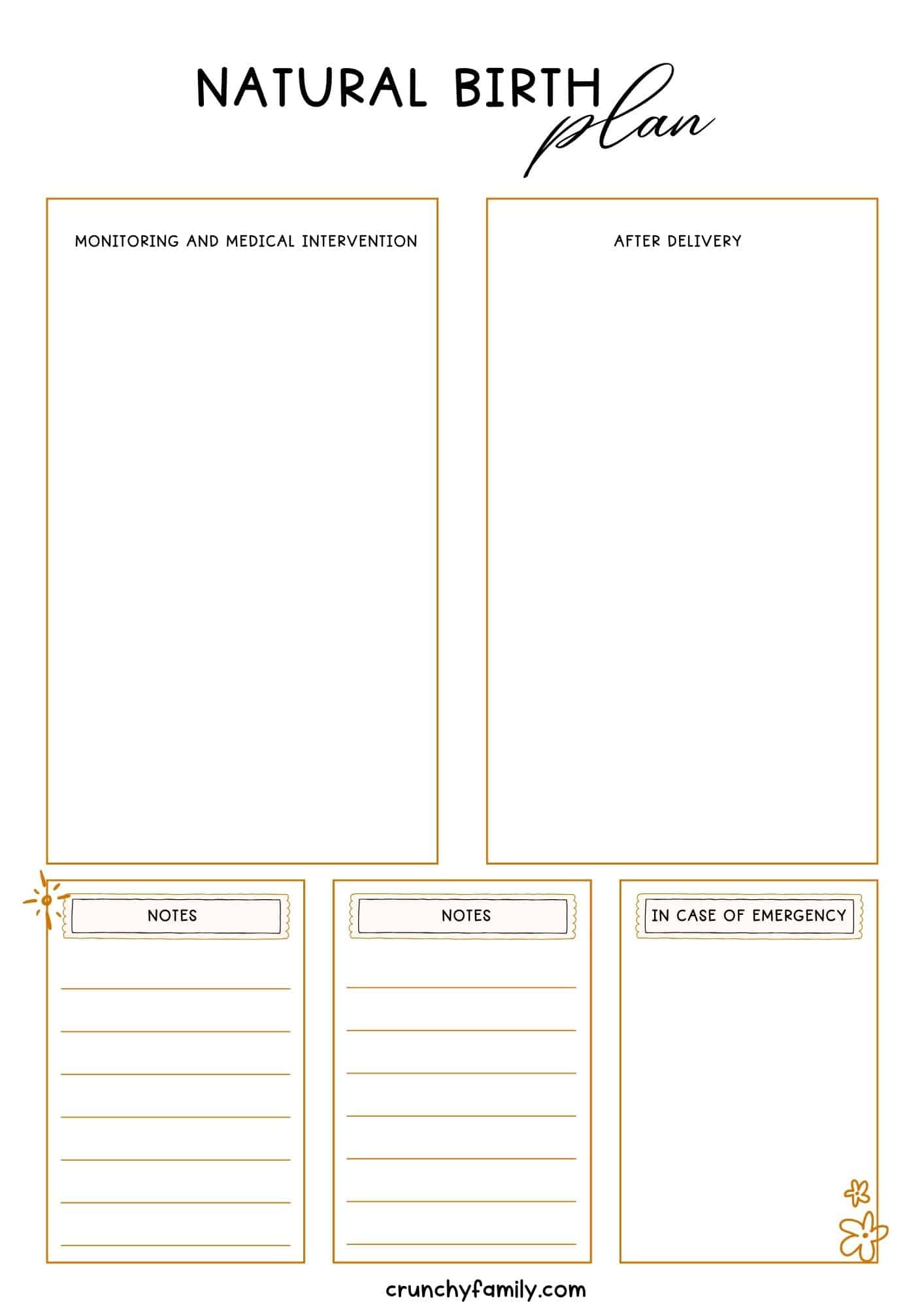 Sample Natural Birth Plans (Free Printable Fill in Template) - Crunchy ...