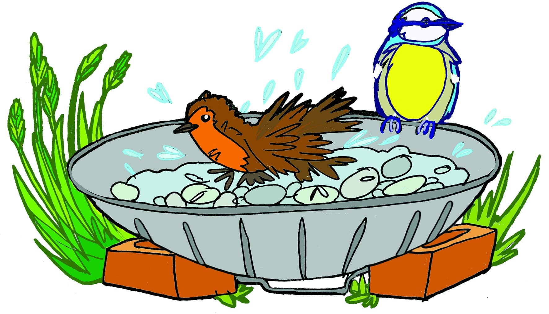 How To Make A Simple Bird Bath With Kids - Crunchy Family