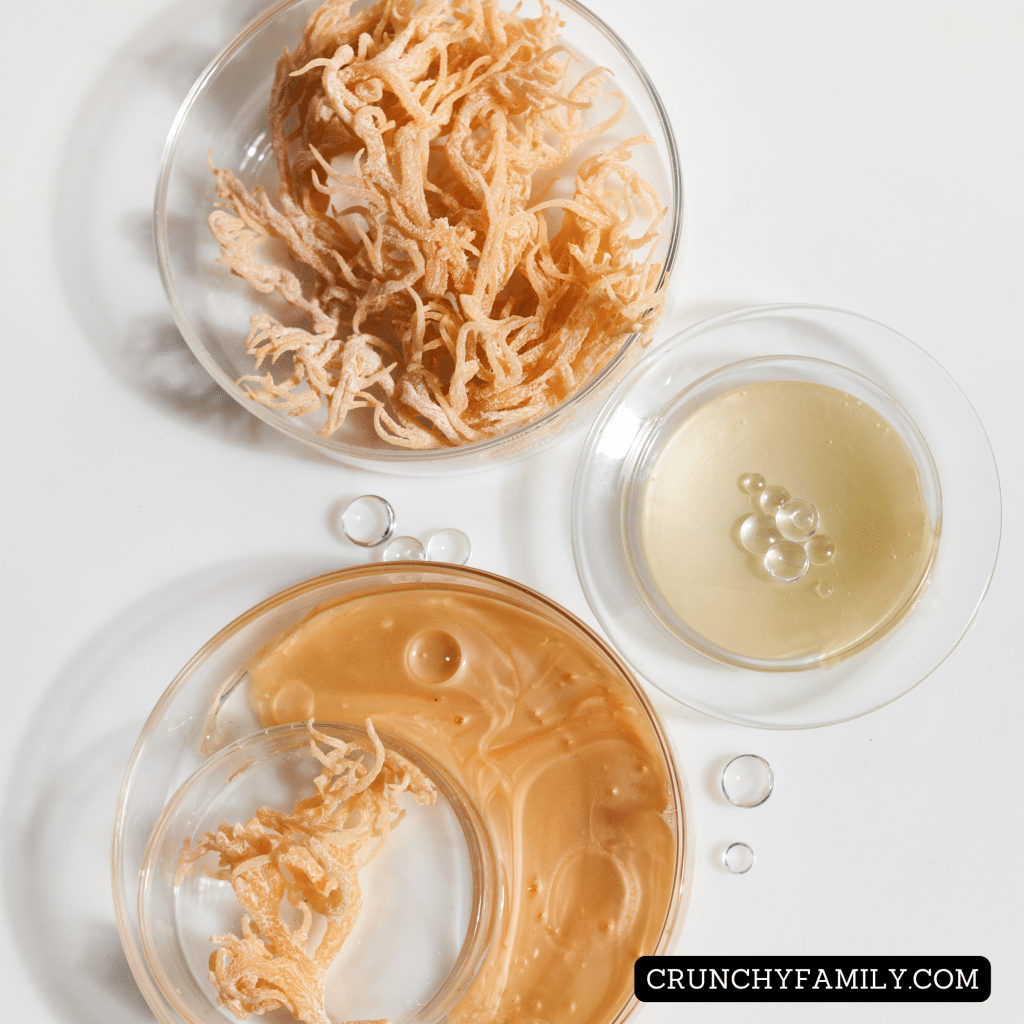 Top 5 Benefits Of Sea Moss For Skin and Hair - Crunchy Family