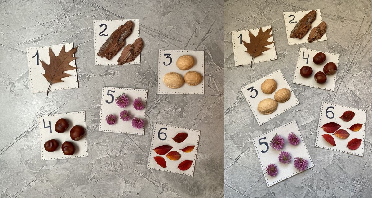 DIY Nature Counting Cards - Crunchy Family