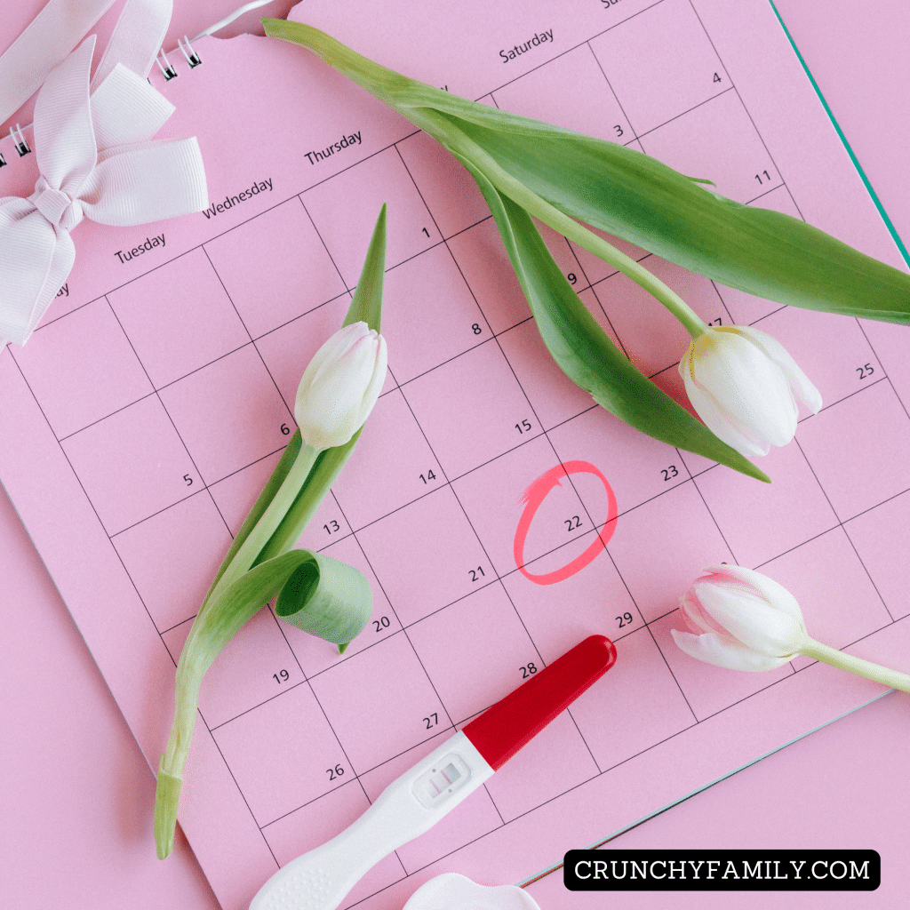 8 Natural Ways To Know You Are Ovulating - Crunchy Family