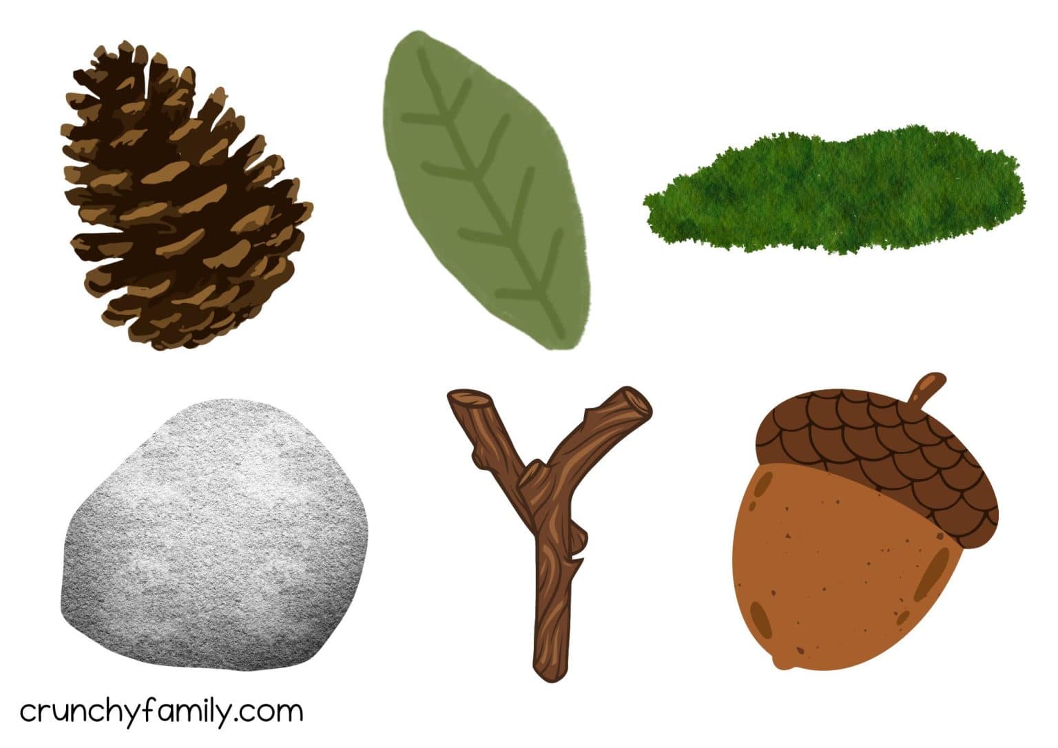 Nature Hunt for Kids with Free Scavenger Hunt Printables - Crunchy Family