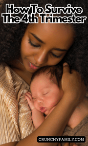 The 4th Trimester: A Guide to Nurturing Yourself and Baby Naturally ...