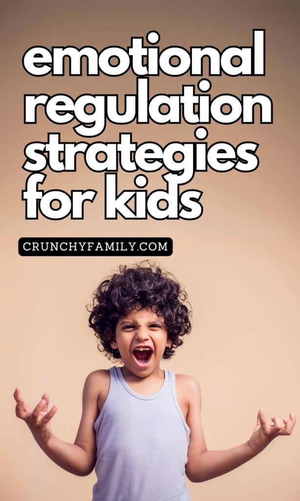 5 Effective Emotional Regulation Strategies to Use With Kids - Crunchy ...