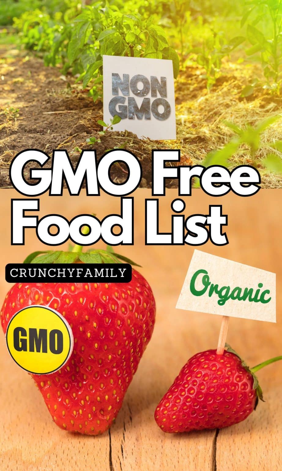 Gmo Free Food List - Brands That Do and Don't Use GMOs - Crunchy Family