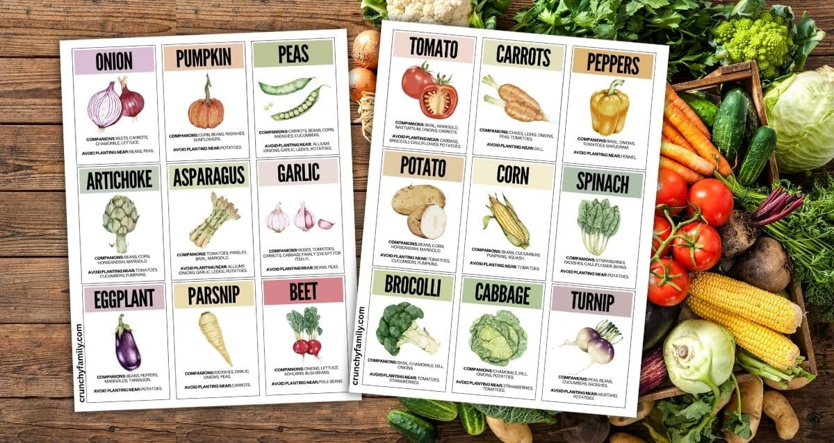 Companion Planting Chart for Square Foot Gardening (Free Printable ...